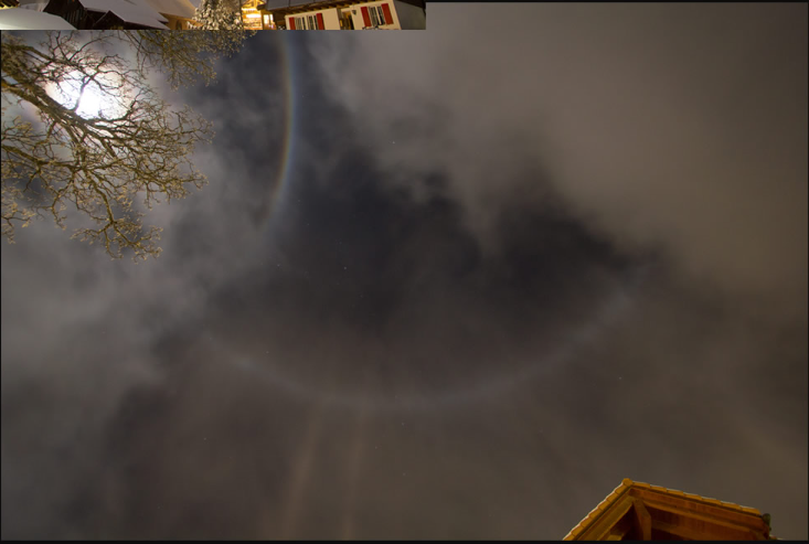 Halos, Order from Disorder