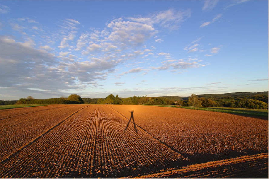 Shadow Hiding, Opposition Effect - OPOD